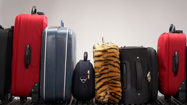 Tips to remember while choosing the right luggage | India.com