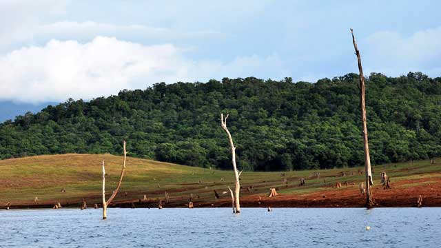 Lakkavalli: Birding paradise in Karnataka | India.com