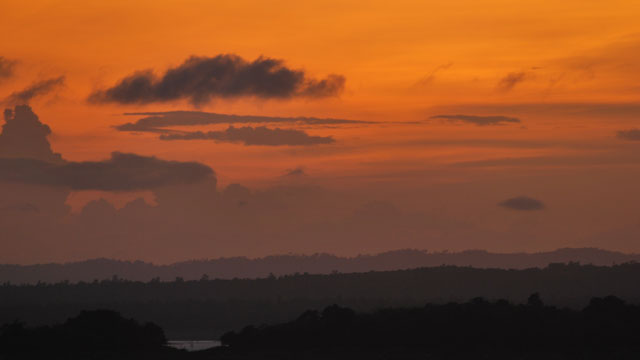 Lakkavalli: Birding paradise in Karnataka | India.com
