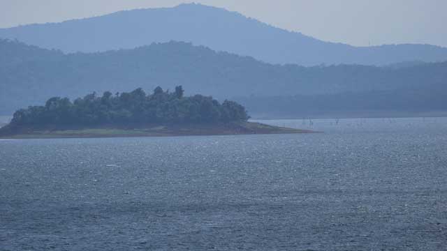 Lakkavalli: Birding paradise in Karnataka | India.com
