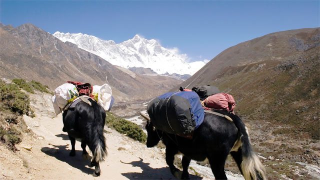 North East India: Four activities to do | India.com