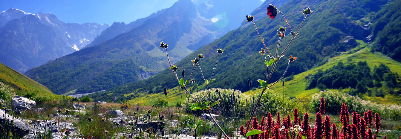 Chamoli district - Alchetron, The Free Social Encyclopedia