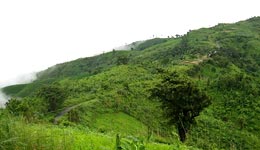 Bellikkal: Photos of Ooty | Pictures of Famous Places, Attractions of ...