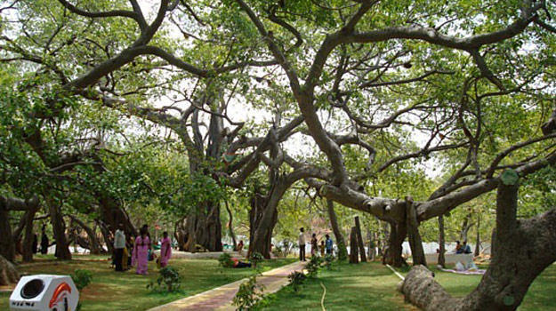 5 serene weekend getaways from Hyderabad every city-dweller must ...