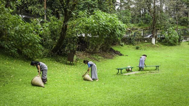 In pictures : The lush green lands of Meghalaya | India.com