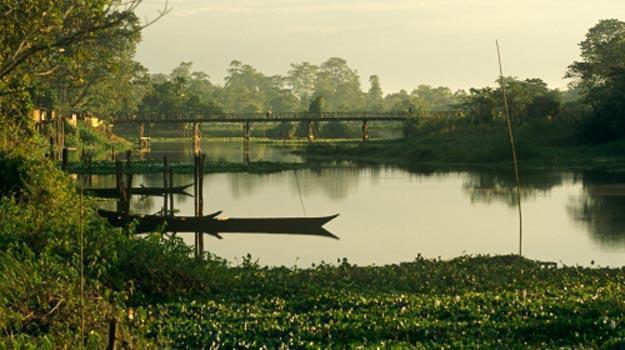 5 wonderful facts you did not know about Assam | India.com