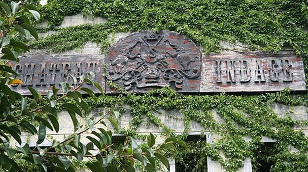 4 best wine tours you must take at least once | India.com