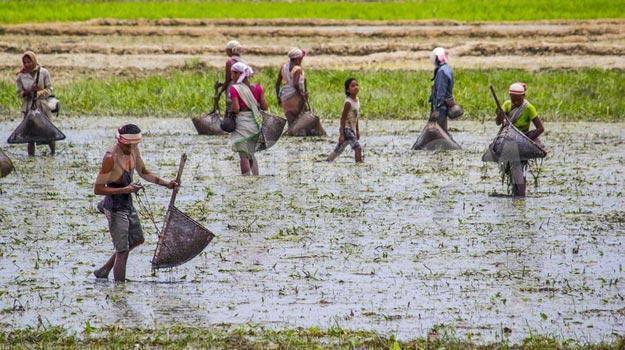 5 best fishing getaways in India which you should not miss! | India.com