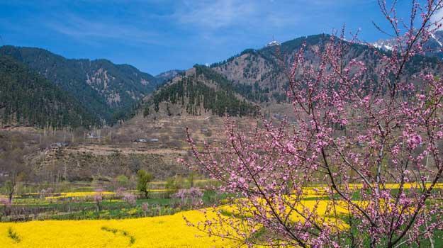 Where to go in India in March | India.com