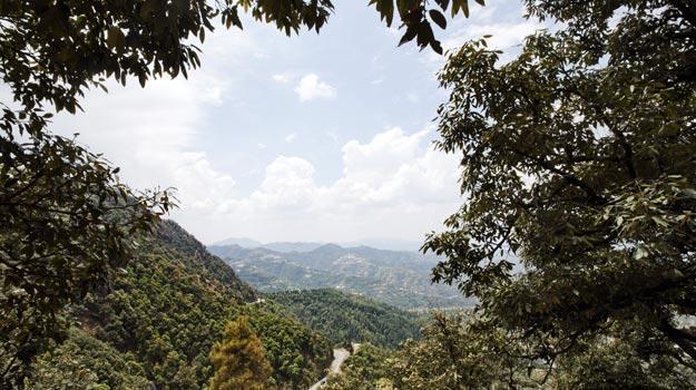 A photo walk through the lovely town of Shimla… | India.com