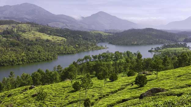 10 photos that prove Munnar is breathtakingly beautiful! | India.com