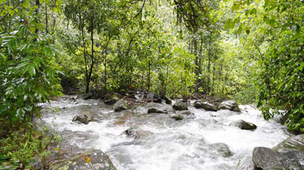 5 places you must not miss when you visit Coorg! | India.com