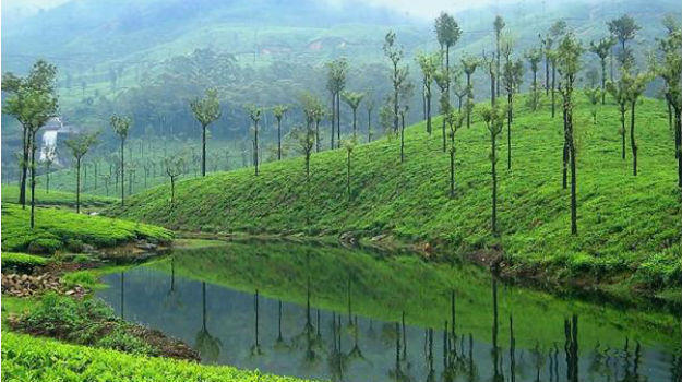 Valparai: A quaint hill station in Tamil Nadu you must explore | India.com