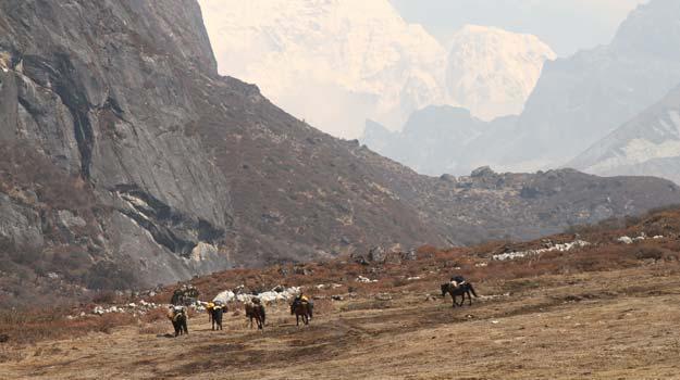9 mesmerizing pics that sum up the beauty of mountain passes in India ...