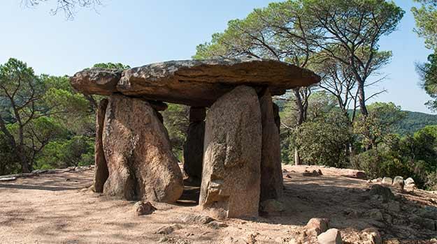 Find out why archaeologists have been flocking to Munnar for decades ...