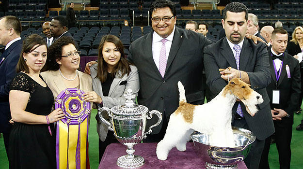 Witness the first amazing Dog Show of 2015 in Ooty | India.com