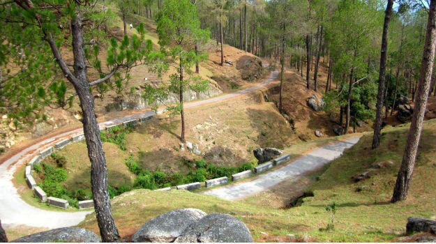 How to reach Ranikhet: The gem of Uttarakhand | India.com