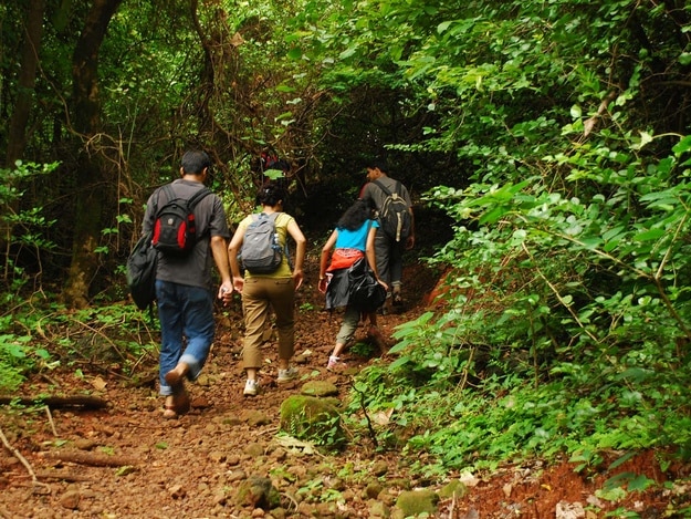 5 reasons why Karjat is a great place to head to this monsoon! | India.com