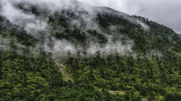 8 smashing pictures glorifying the essence of Arunachal Pradesh’s West ...