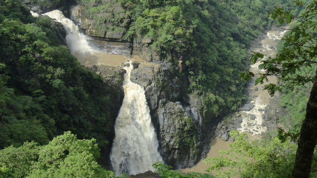 Goa to Yellapur: How to reach Yellapur from Goa by road | India.com