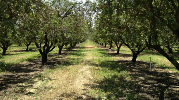 Did You Know About these Delhis That Are Not In India? | India.com