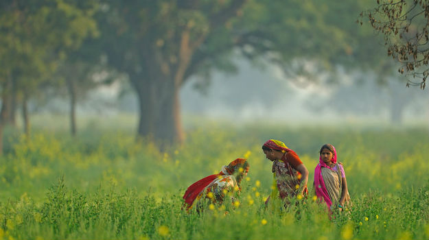 10 stunning photographs of India guaranteed to spark your wanderlust ...