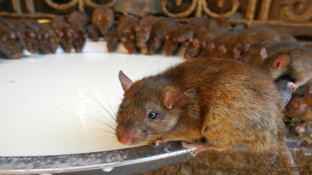 #FindingGod: Top 7 unusual places of worship | India.com