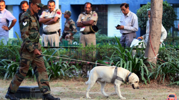 Army’s dog squad to march in Republic Day Parade after 26 years | India.com