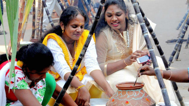 Pongal 2017: Did you know the history and significance of Pongal ...