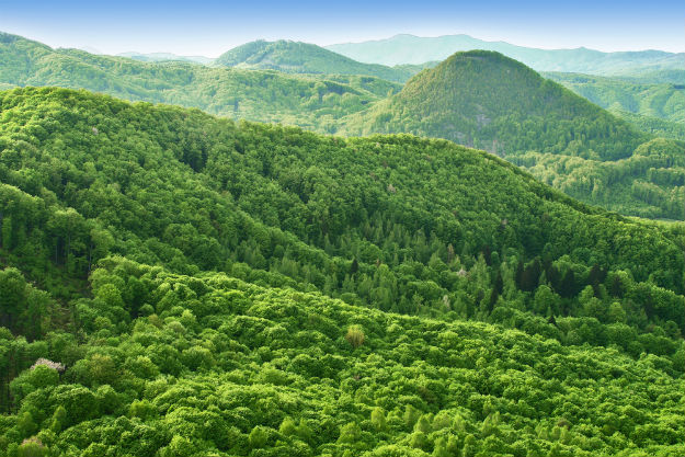 These 4 tales of haunted places in Kerala will make your blood run cold ...