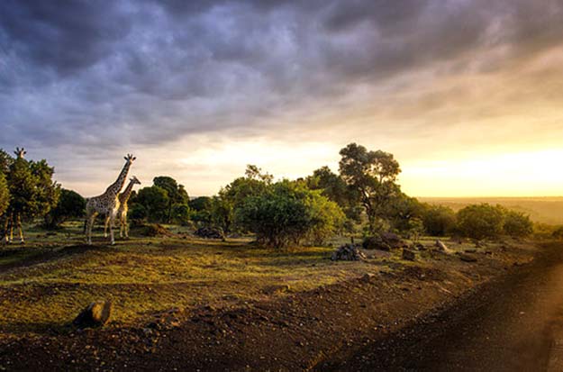 7 breathtaking pictures by Indian photographers shortlisted for Sony ...