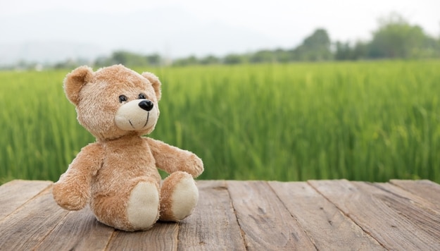 Teddy Day 2016: Did you know these mind blowing facts about the teddy ...