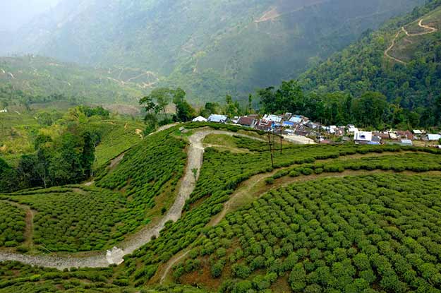 Top 15 hill stations in India that’ll remind you of your summer ...
