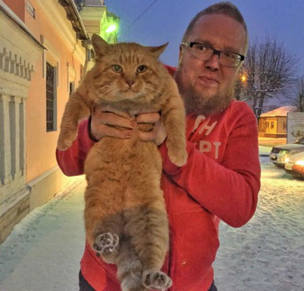 A Russian museum has hired a cat as its doorman and it is so adorable ...