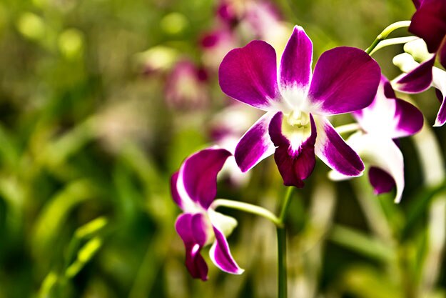 10 spectacular Manipur photos that will tempt you to visit northeast ...