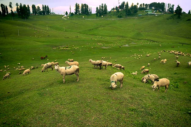 20 pictures of Ladakh like you’ve never seen before! | India.com