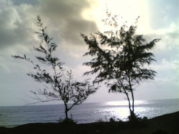 Have You Been to Any of These 12 Top Secret Beaches in Goa?