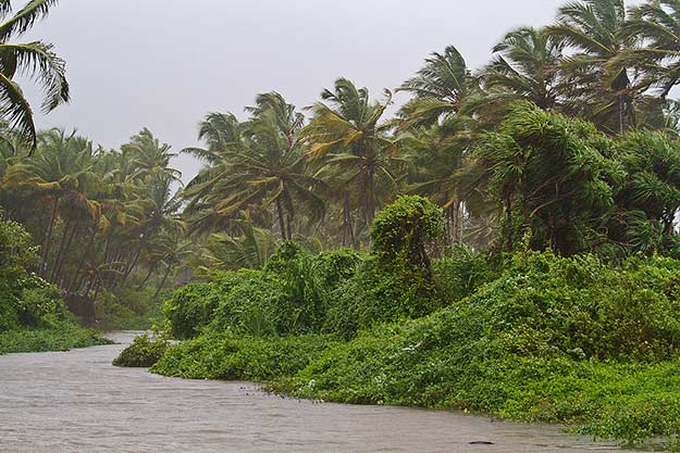 Rainy season in Kerala: 15 photos that remind us just why Kerala is ...