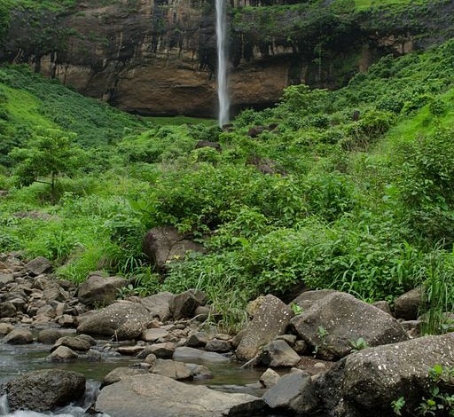 Make Your Monsoon Memorable With a Visit to These 5 Waterfalls Near Mumbai