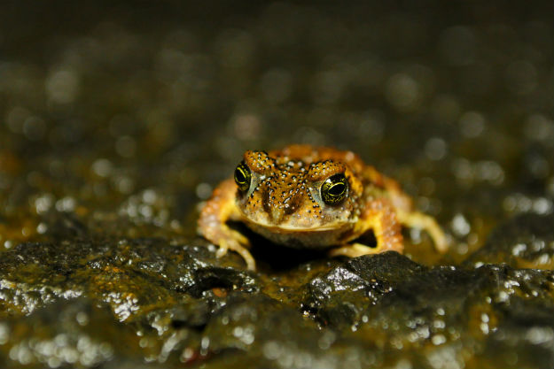 You won’t believe how amazing Amboli looks right now! VIEW PICS ...