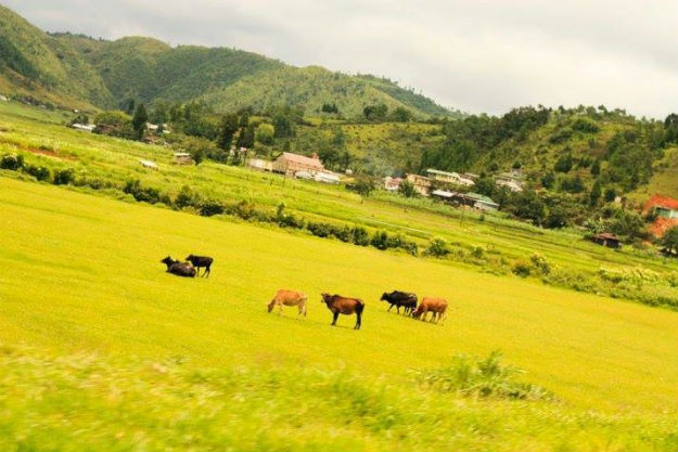 51 offbeat places to visit in India at least once in a lifetime ...