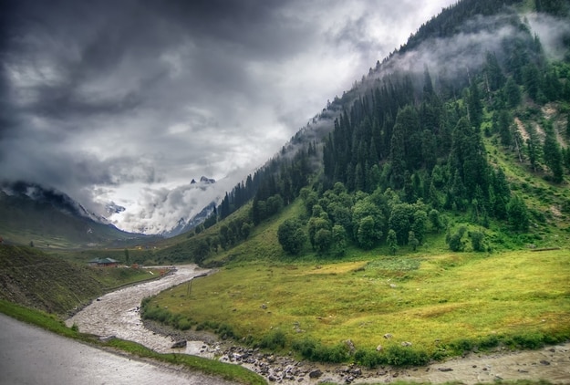 13 stunning photographs that perfectly capture the spirit of monsoon in ...
