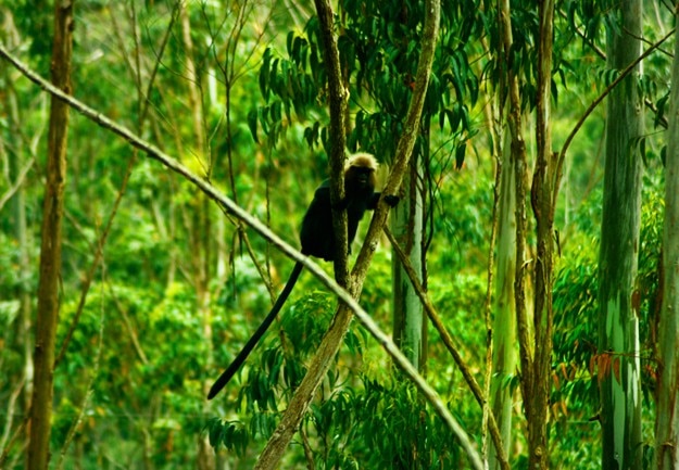 12 stunning photographs of Gavi that will tempt you to travel now ...