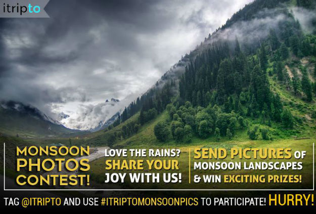 Stunning monsoon photos by YOU, our dear readers! | India.com