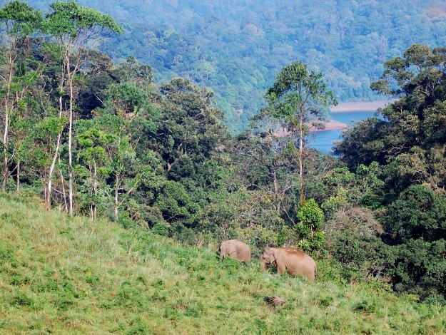 12 stunning photographs of Gavi that will tempt you to travel now ...