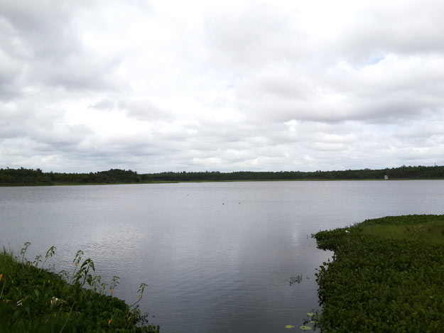Have you heard of Mattur, India’s only Sanskrit speaking village ...