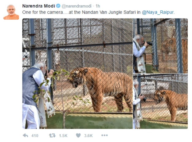 Narendra Modi clicked pictures of a tiger in Chhattisgarh and Twitter ...