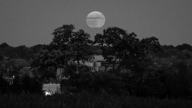 Stunning pictures of supermoon 2016 from across the globe | India.com
