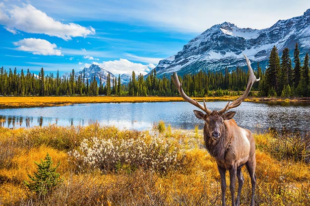 Canada Images: 14 Spectacular Canada Photos That Will Spark Your ...