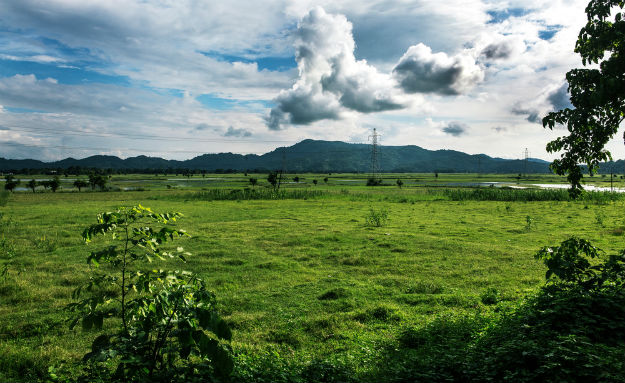 Assam Images: Beautiful Photos of The Lovely Northeastern State | India.com